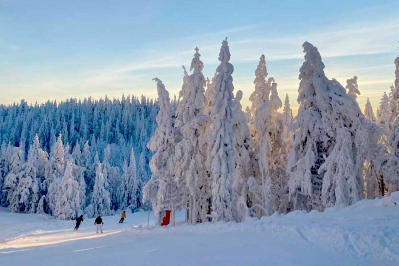 skivakantie-in-klappen-zweden - Blog - BBI Travel reisblog